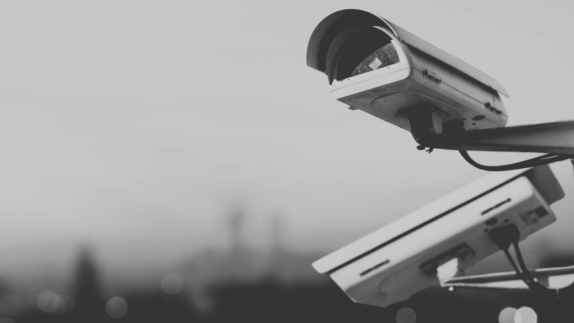 QUIENES SOMOS – Videologic Analytics